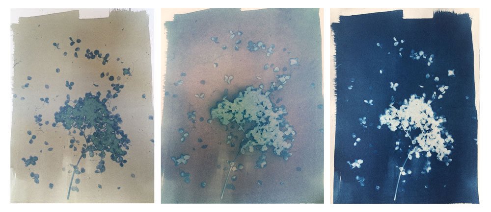 ASLD | Ages 14-17 | Art of Photo Science